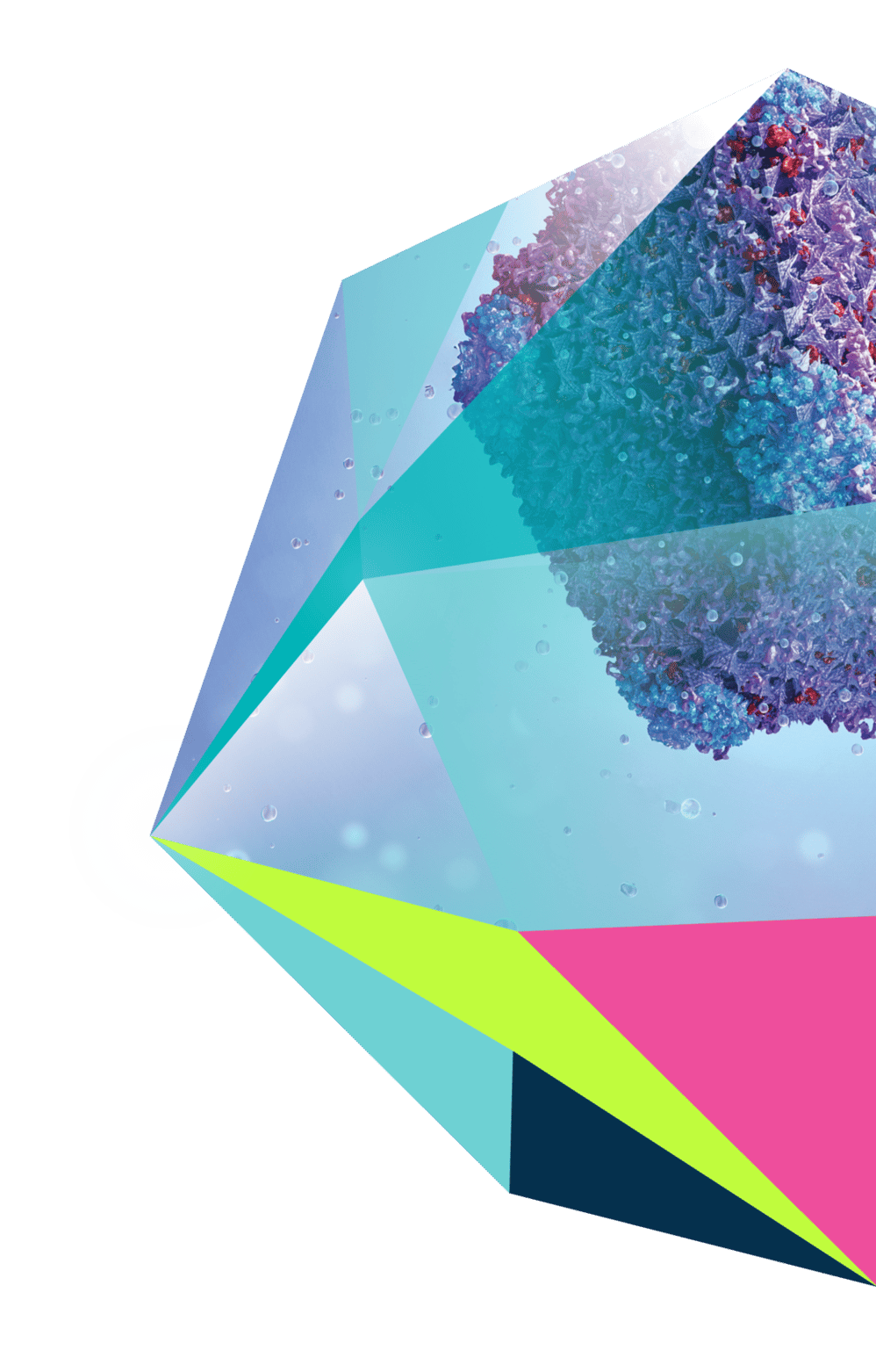 Who We Are | Viralgen