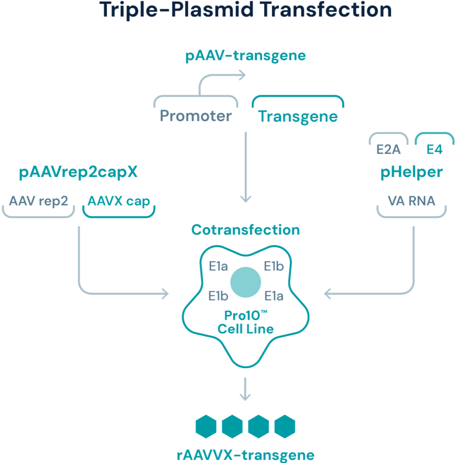 Aava™ AAV Manufacturing Platform | Viralgen